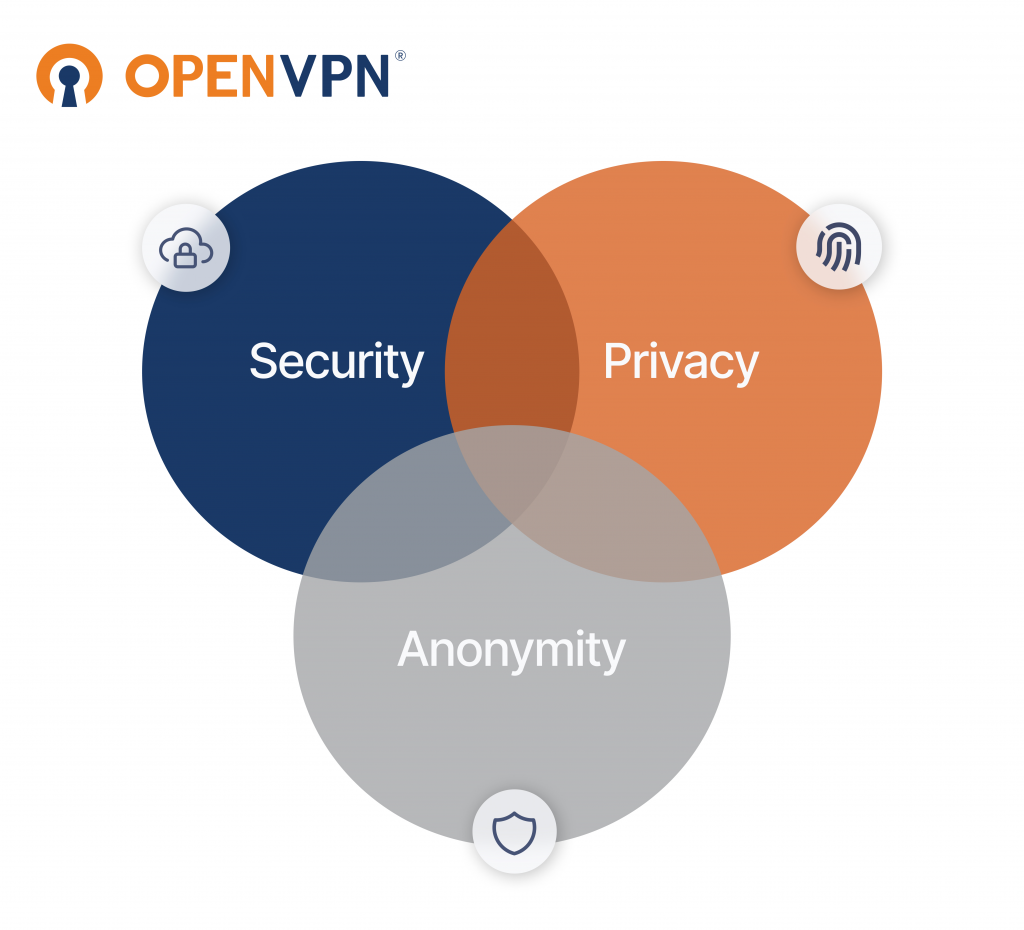 Anonymity, Privacy, and Security